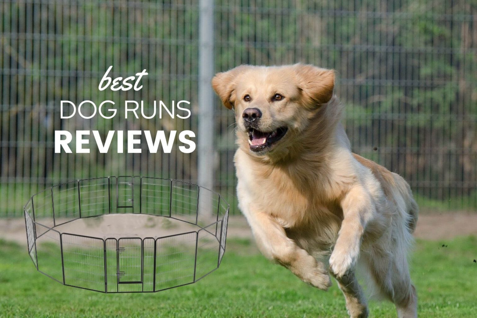 5 Best Dog Runs: Keeping Fido Safe & Happy Outside (DIY Ideas) - Canine ...