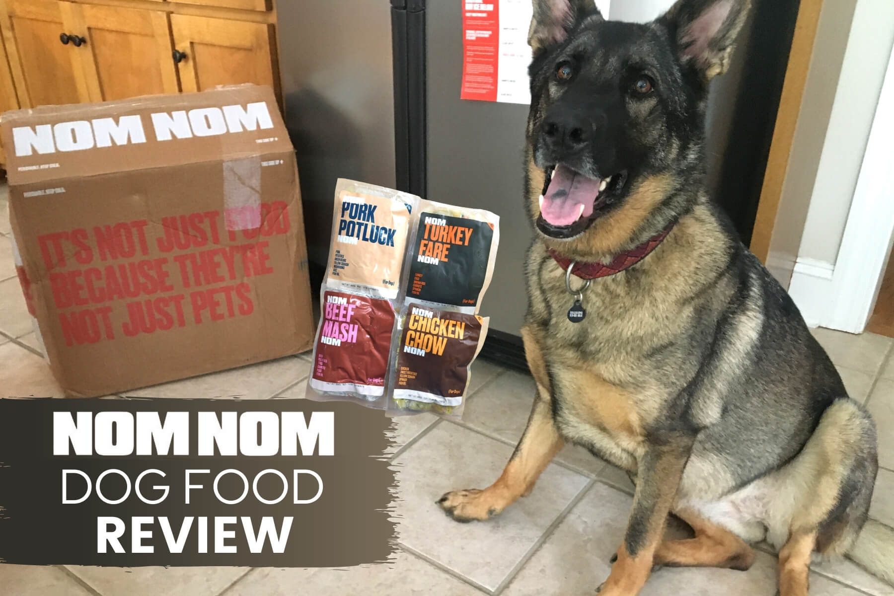 Nom Nom Dog Food Review Our Pups Tried It Should You Canine Bible Nom Nom Dog Food Review Our Pups Tried It Should You Canine Bible