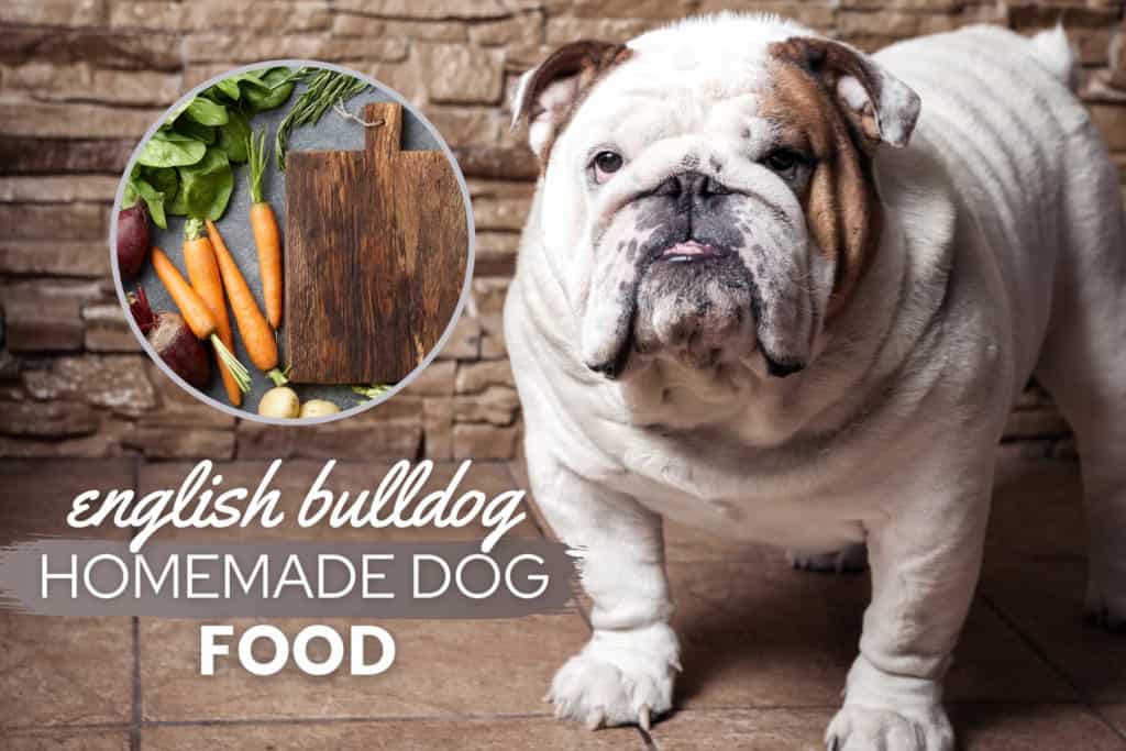Homemade Raw Dog Food Guide: Easy BARF Diet Recipes - Canine Bible