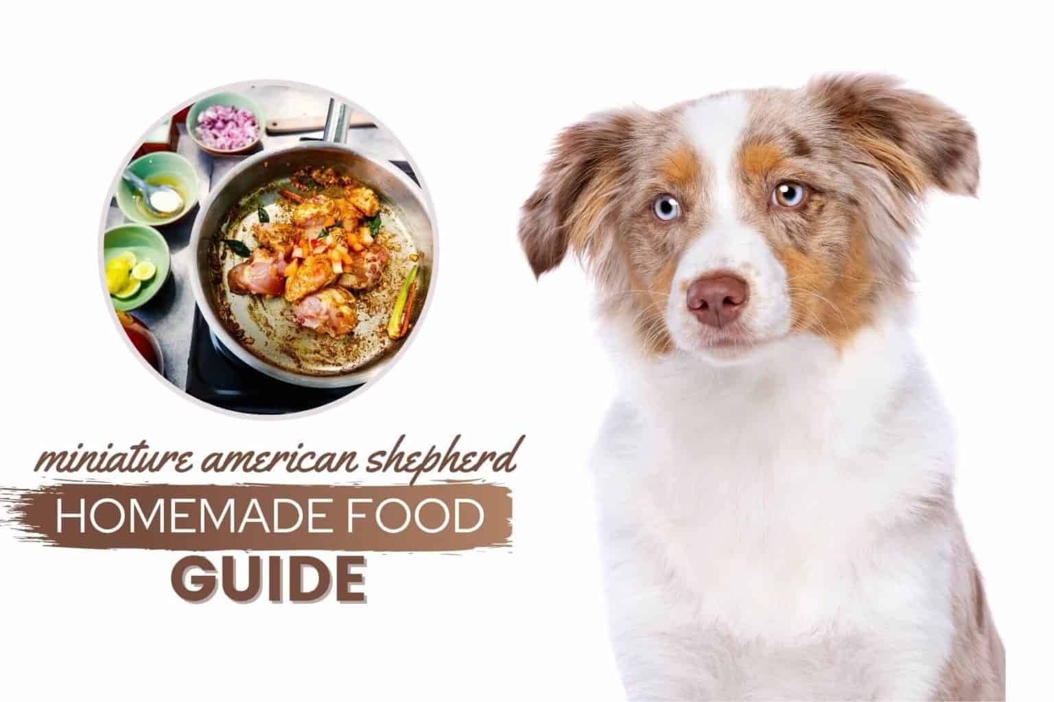 German Shepherd Homemade Food Guide: Adult & Puppy Recipes & Nutrition ...