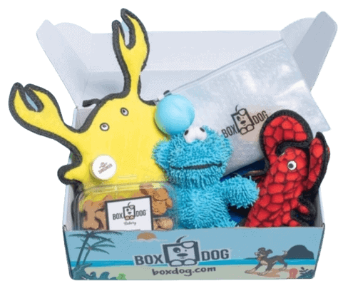6 Best Dog Toy Subscription Box For Heavy, Tough Chewers — BarkBox ...