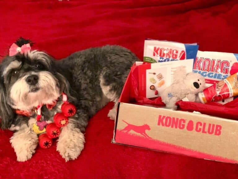 KONG Club Subscription Box Review: Unboxing, Price, Hands-On & FAQs ...