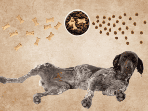 Best Dog Food For German Shorthaired Pointers 2023 — Reviews & Top ...