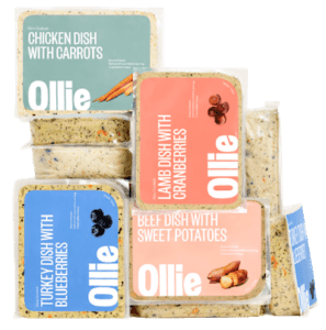 Best Dog Food For Shetland Sheepdogs 2024: Sheltie Expert-Picked ...