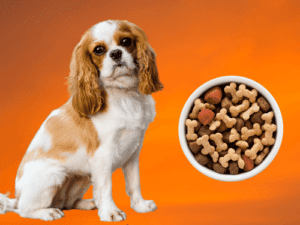 10 Best Dog Food For Cavalier King Charles Spaniels 2023 [For Every ...