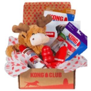 6 Best Dog Toy Subscription Box For Heavy, Tough Chewers — BarkBox ...