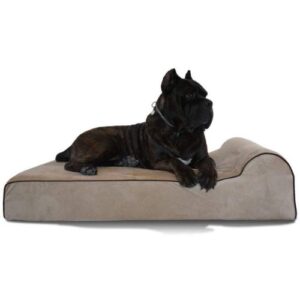 Bully Beds Review 2024: The Best Bed For Large Dogs & Heavy Chewers ...