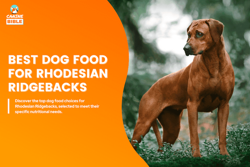 12 Best Dog Foods for Rhodesian Ridgebacks 2025: Vet-Approved - Canine ...