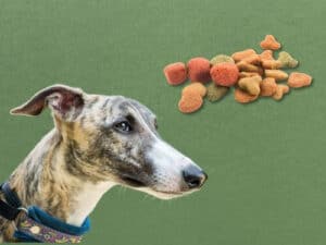 Best Dog Food For Whippets 2024 — The Ultimate List - Canine Bible