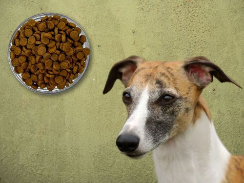 Best Dog Food For Whippets 2024 — The Ultimate List - Canine Bible
