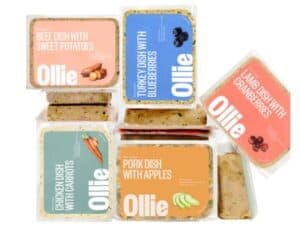 Ollie Dog Food Reviews: Fresh & Baked Recipes Tested By Our Dogs ...