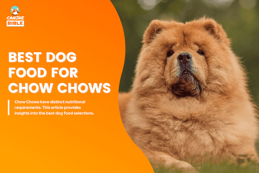 The 15 Best Dog Food For Chow Chows 2025: Vet-Approved - Canine Bible