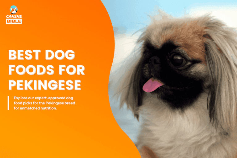 15 Best Dog Foods For Pugs in 2026: Vet Recommended - Canine Bible