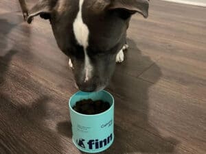 Pet Finn Dog Supplement Reviews: Our Pups Experience & Results - Canine ...