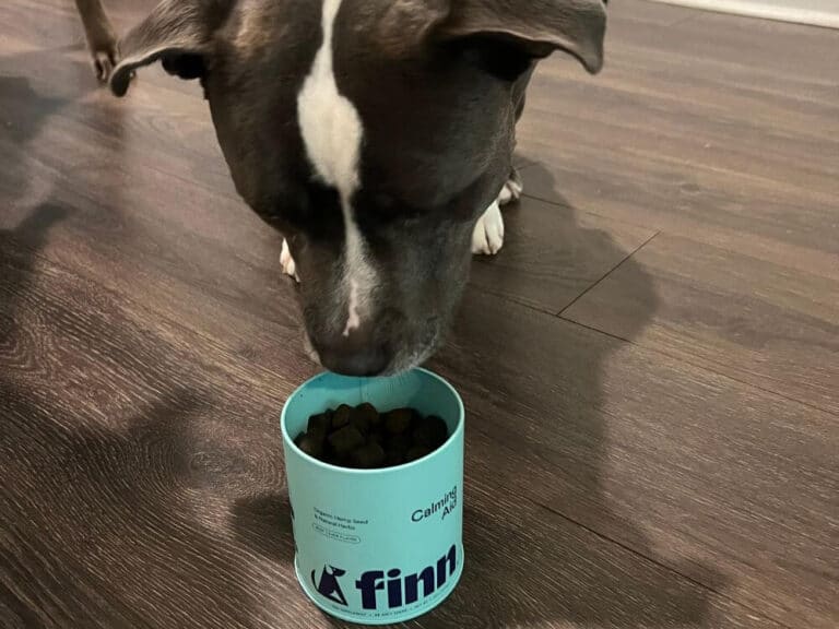 Pet Finn Dog Supplement Reviews: Our Pups Experience & Results - Canine ...