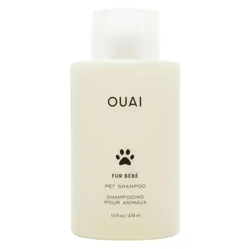 Best Dog Shampoos of 2025: Vet-Recommened Brands - Canine Bible
