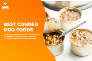 The Very Best Canned Dog Foods of 2026 (Vet-Recommended) - Canine Bible