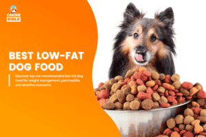The 18 Best Low Fat Dog Foods of 2025: Vet-Approved - Canine Bible