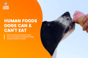 168 Human Foods Dogs Can & Can't Eat (A to Z Complete List) - Canine Bible