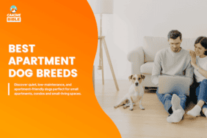 30 Best Dog Breeds for Apartments, Condos & Small Spaces - Canine Bible