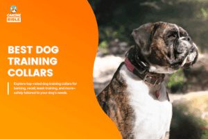 The 12 Best Dog Training Collars of 2026 (For Every Need) - Canine Bible