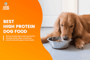 The 12 Best High Protein Dog Foods 2026: Vet-Approved - Canine Bible