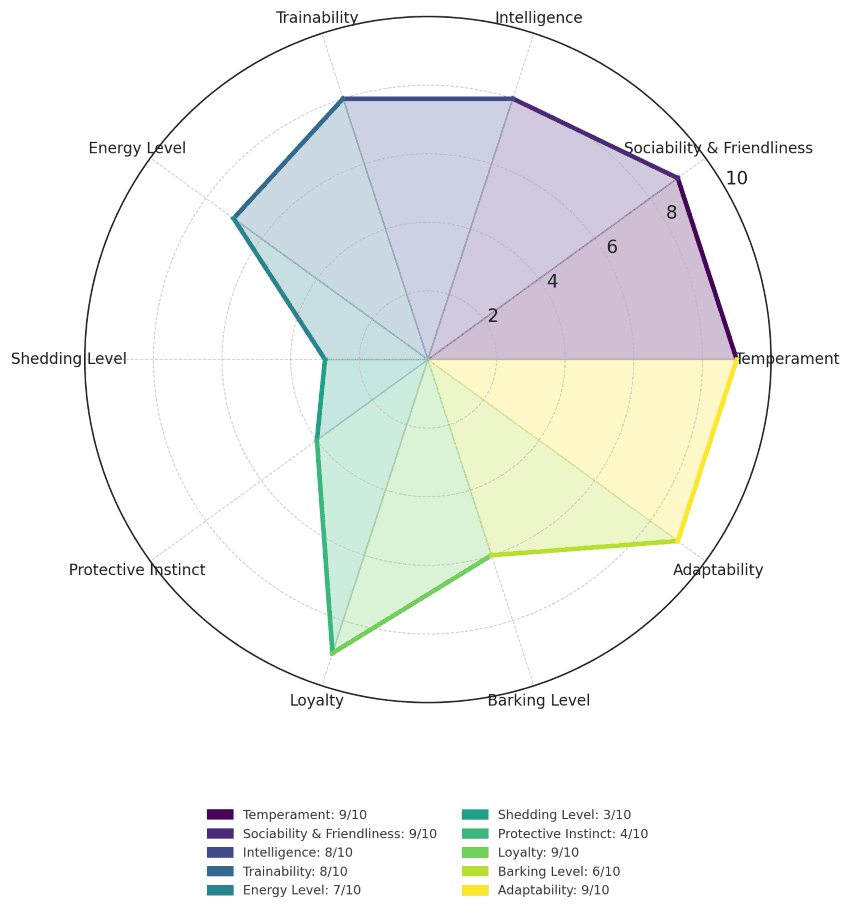 Cockapoo Dog Breed Information: Traits, Facts, Care & More - Canine Bible