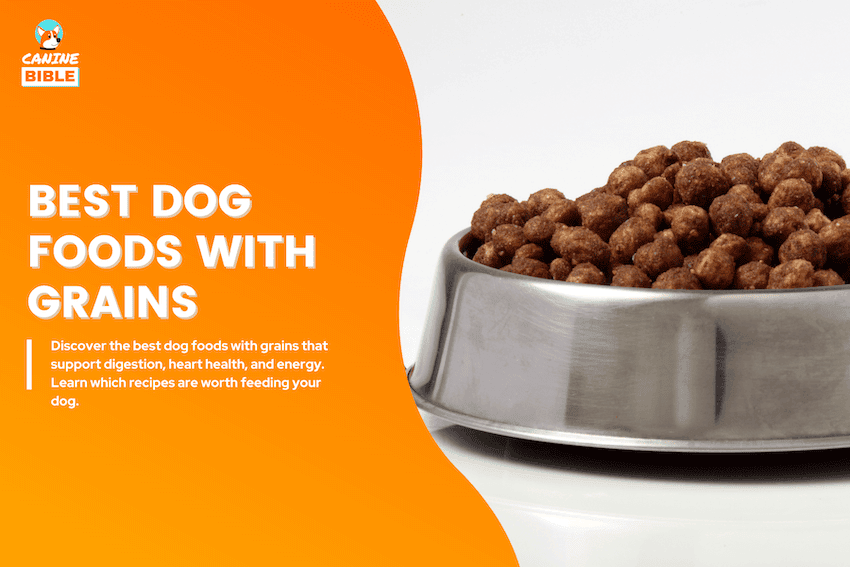 The 11 Best Dog Foods With Grains of 2025: Vet-Approved - Canine Bible