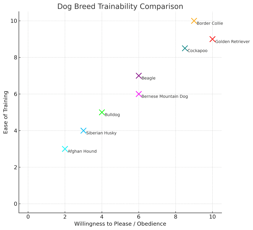 Cockapoo Dog Breed Information: Traits, Facts, Care & More - Canine Bible