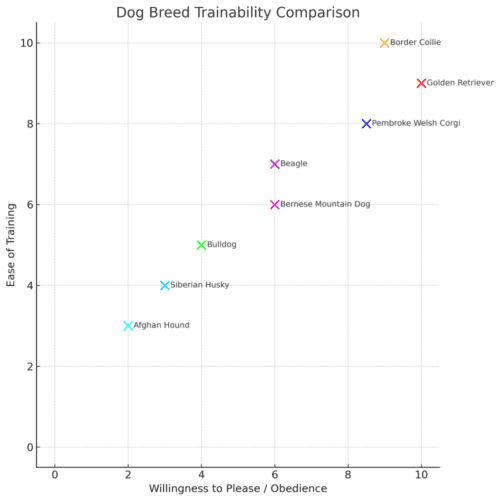 Pembroke Welsh Corgi Dog Breed Information: Traits, Facts, Care & More ...