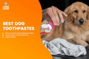 The 14 Best Dog Toothpastes in 2026: Vet-Approved - Canine Bible