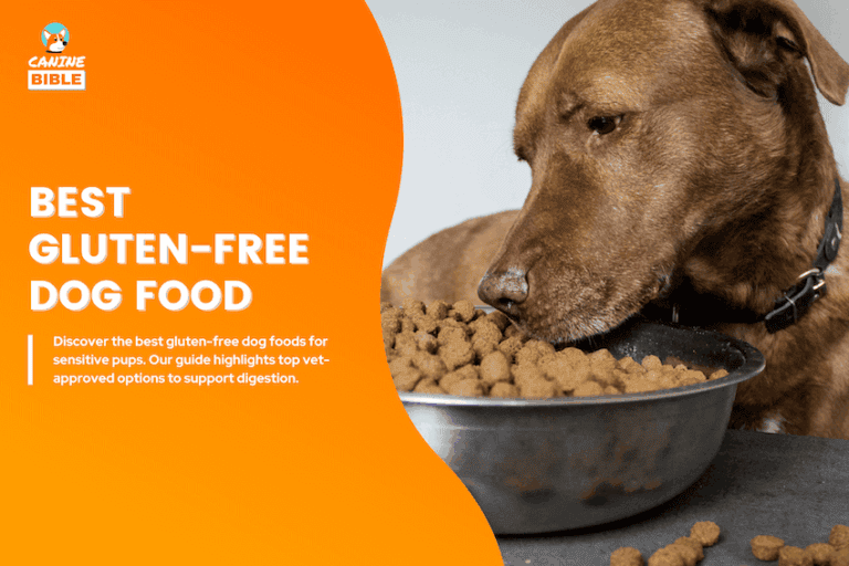 14 Best Dog Foods For Picky Eaters 2025: Vet-Recommended - Canine Bible