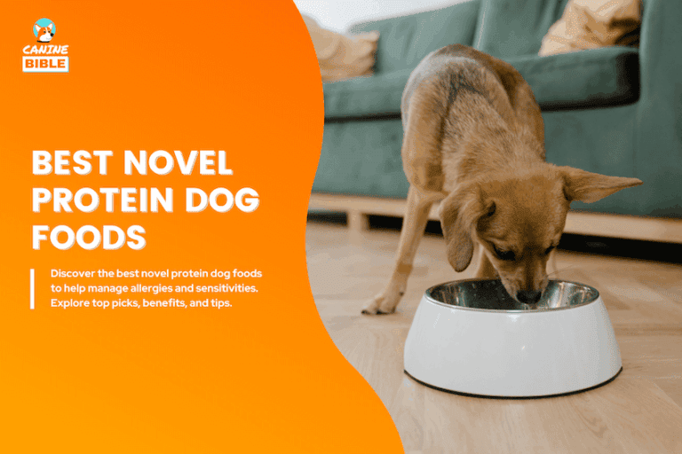 The 15 Best Dog Food For Poodles in 2025: Vet-Approved - Canine Bible