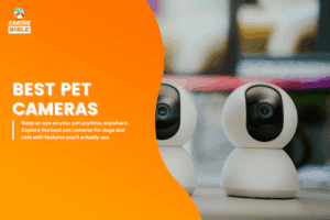 The 15 Best Pet Cameras of 2026: Reviewed & Tested - Canine Bible