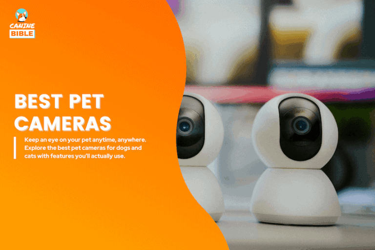 The 15 Best Pet Cameras of 2026: Reviewed & Tested - Canine Bible