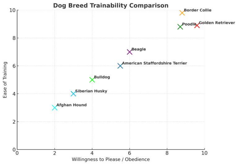 American Staffordshire Terrier Dog Information: Complete Guide - Canine ...