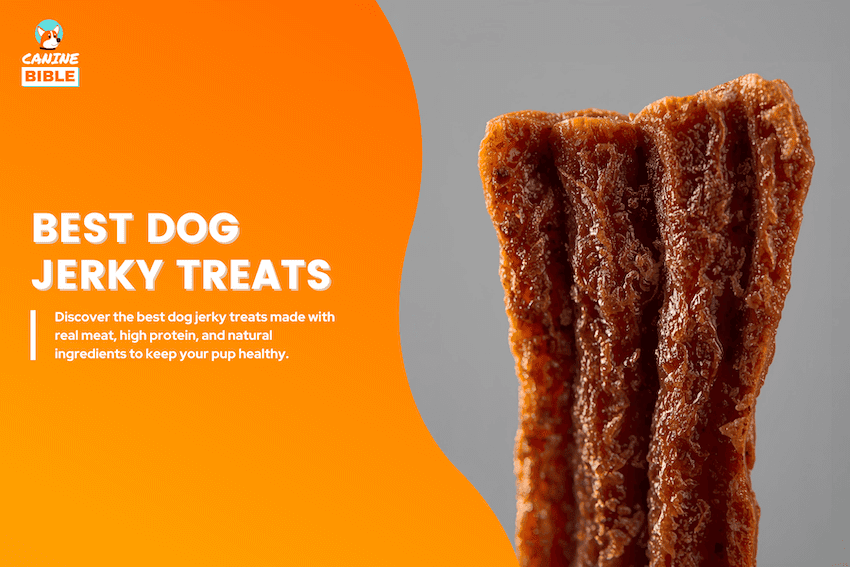 The 15 Best Dog Jerky Treats of 2025: Vet-Approved - Canine Bible