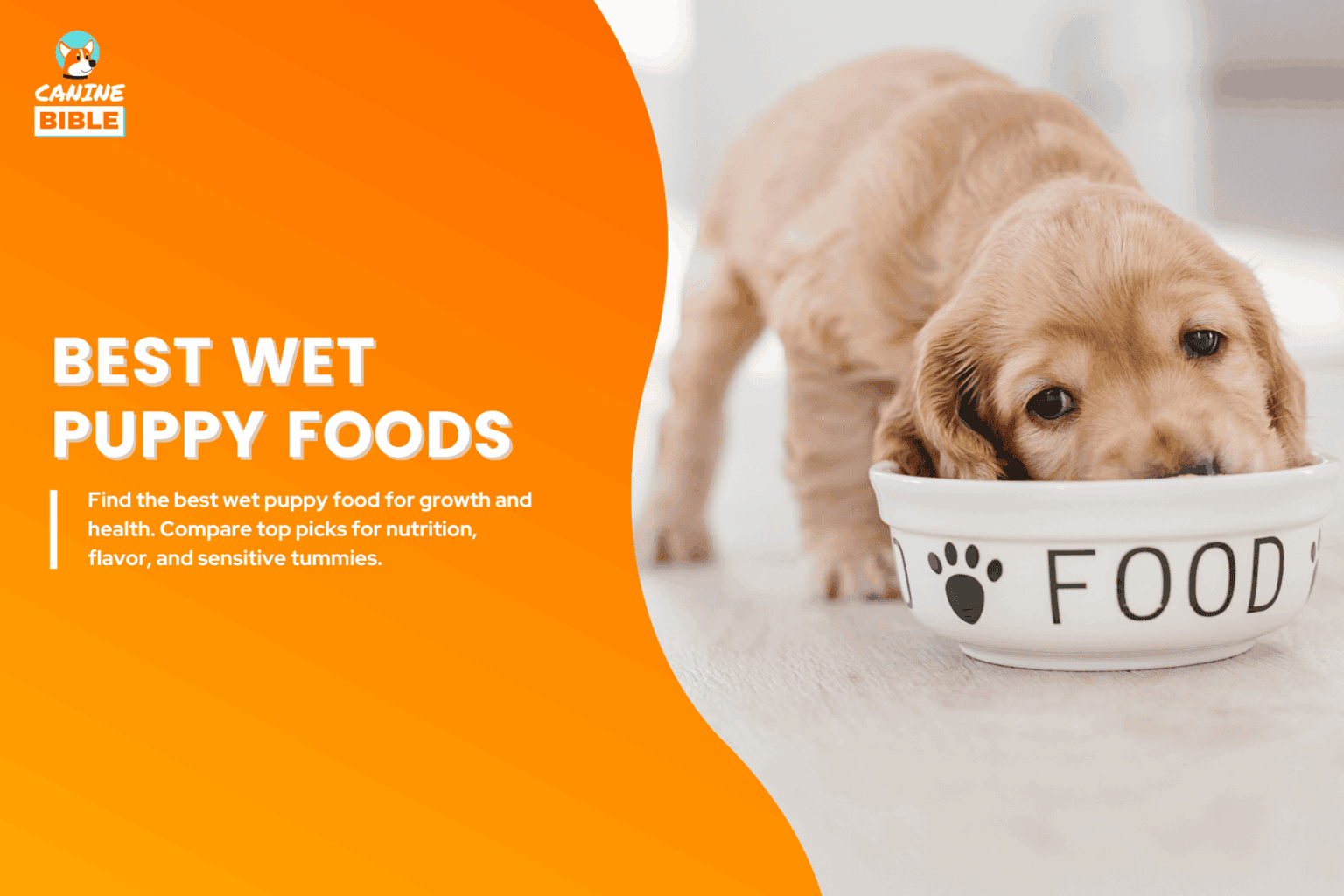 The 15 Best Wet Puppy Foods of 2025: Vet-Approved - Canine Bible