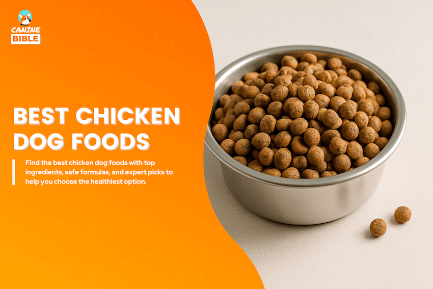 The 15 Best Dog Food For Chow Chows 2025: Vet-Approved - Canine Bible
