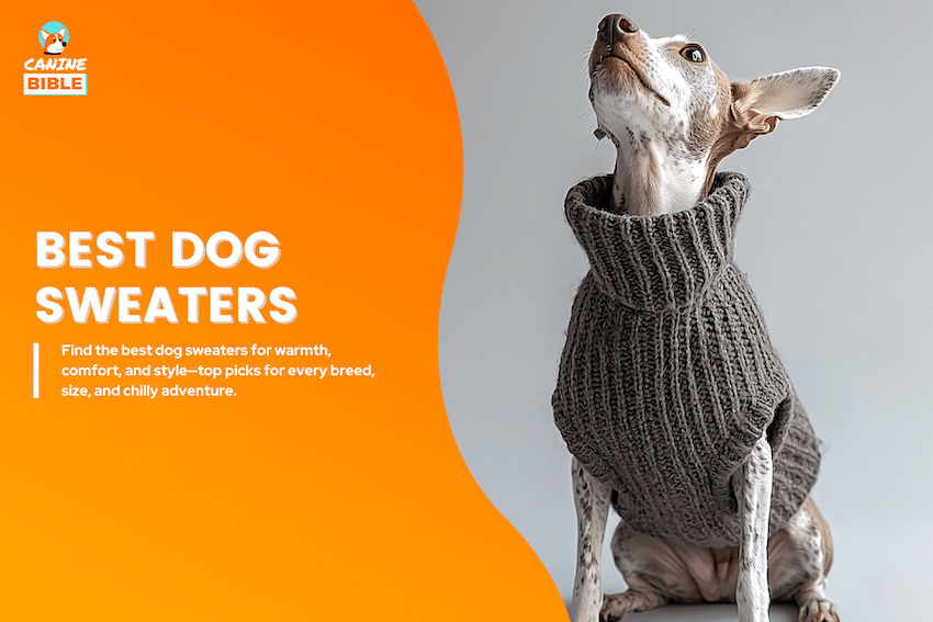 The 16 Best Dog Sweaters of 2025: Reviewed & Tested - Canine Bible