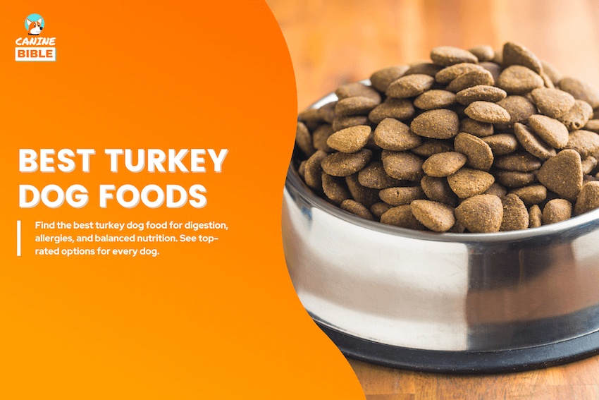 The 15 Best Turkey Dog Foods of 2025: Vet-Approved - Canine Bible