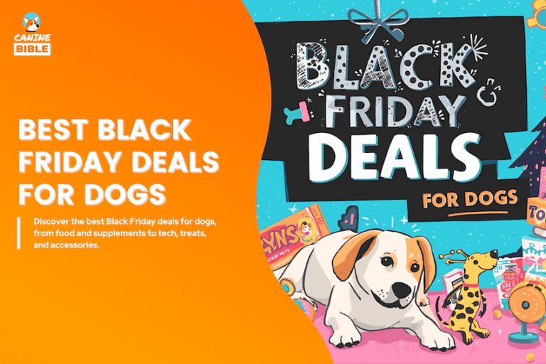 The 35 Best Black Friday Deals for Dogs of 2025 - Canine Bible