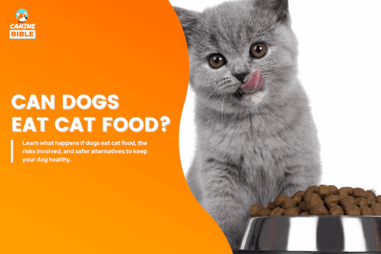 Dog Feeding Chart: How Much Food to Feed My Dog? - Canine Bible