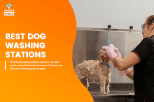 The 12 Best Dog Washing Stations 2026: Reviewed & Tested - Canine Bible