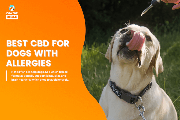 Best CBD Oil for Dogs with Collapsed Trachea 2026: Review & Guide ...