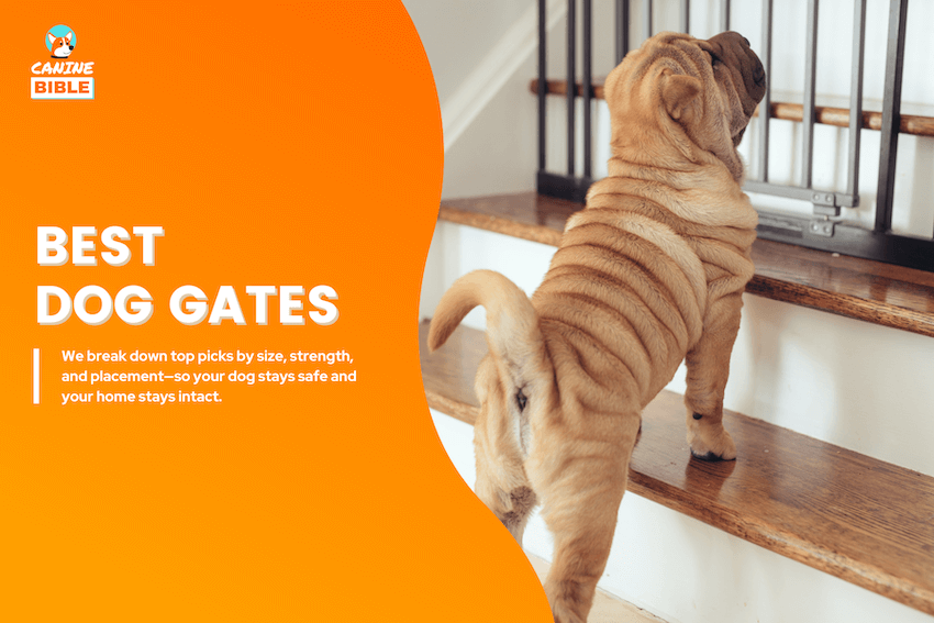 The 15 Best Dog Gates in 2026: Reviewed & Tested - Canine Bible