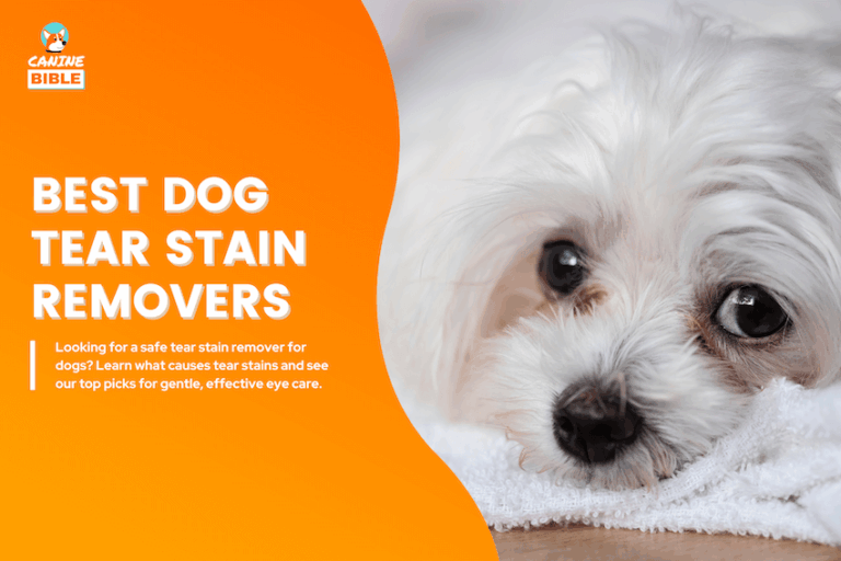 The 15 Best Dog Tear Stain Removers in 2026: Vet-Approved - Canine Bible