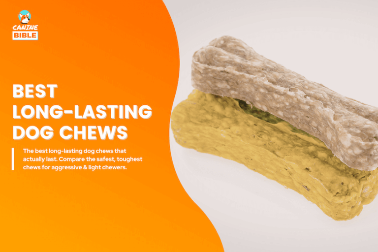 20 Best Long-Lasting Dog Chews in 2026: Vet-Approved - Canine Bible