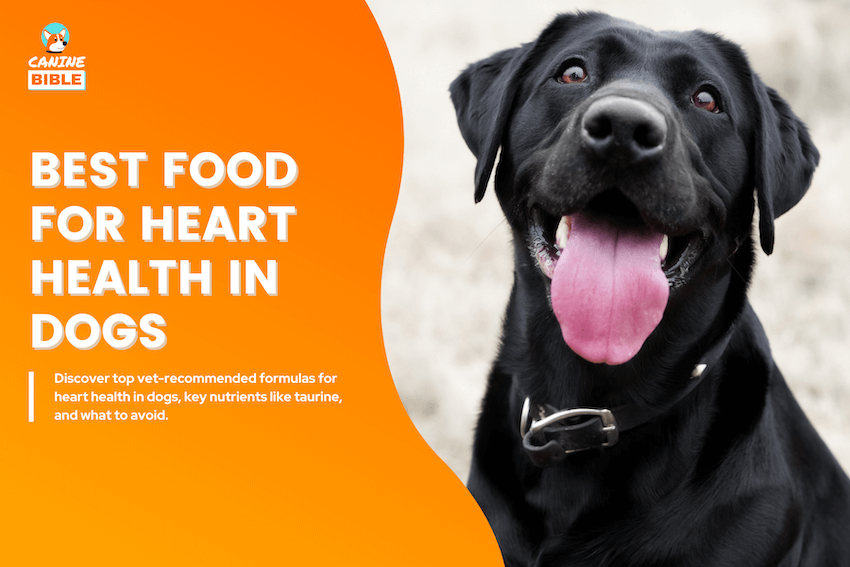 12 Best Dog Foods for Heart Health 2026: Vet-Approved - Canine Bible