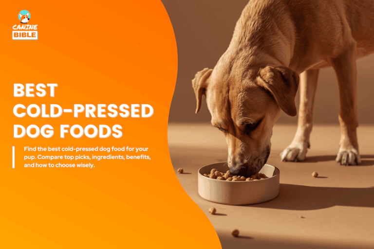 The Best Cold-Pressed Dog Foods of 2026: Vet Approved - Canine Bible